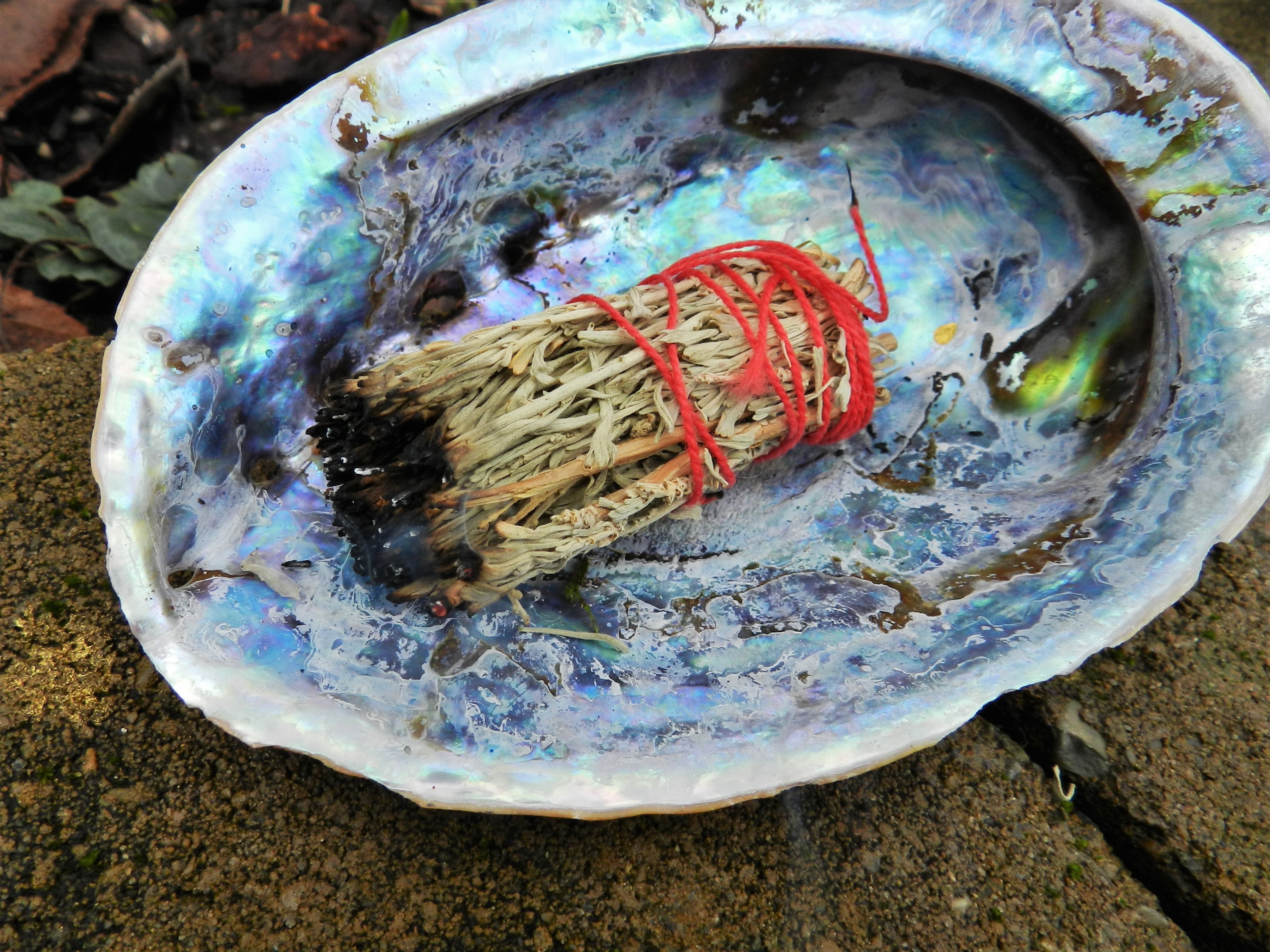 “Sage – The Wise One” – Being Fully Human