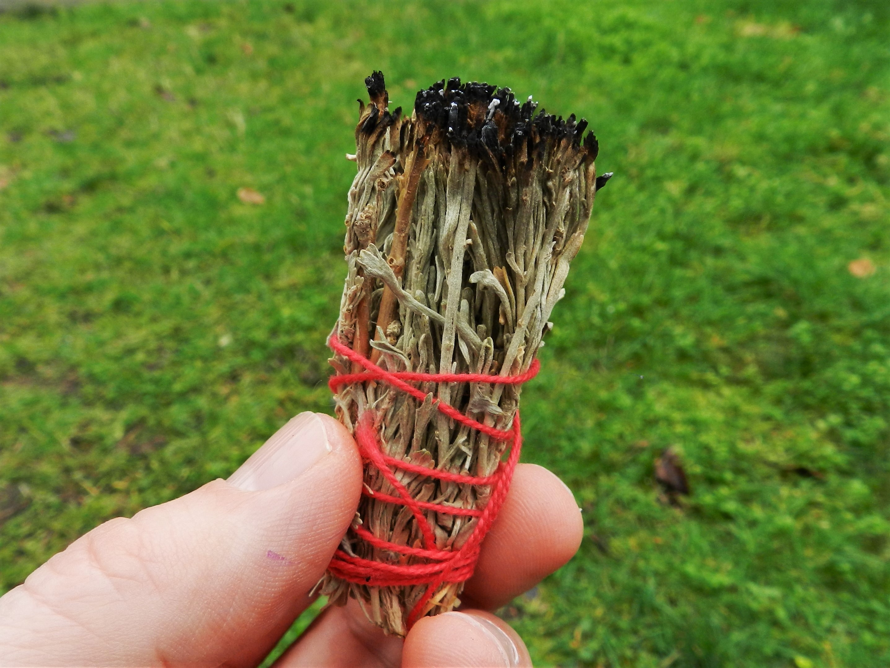 “Sage – The Wise One” – Being Fully Human